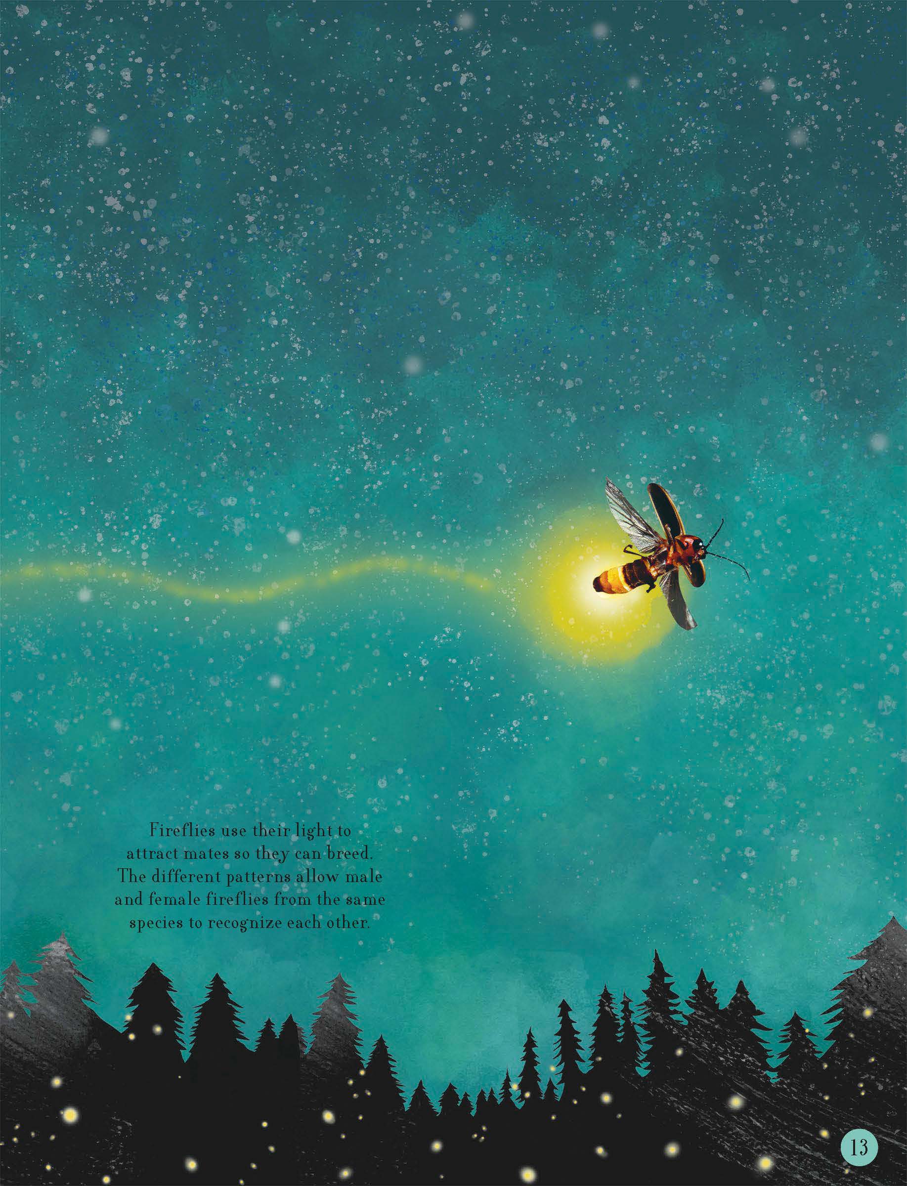 DK科普知识英文绘本Through the Night Sky 穿越夜空 电子版PDF 百度云网盘下载 | 咿呀启蒙yiyaqimeng.com