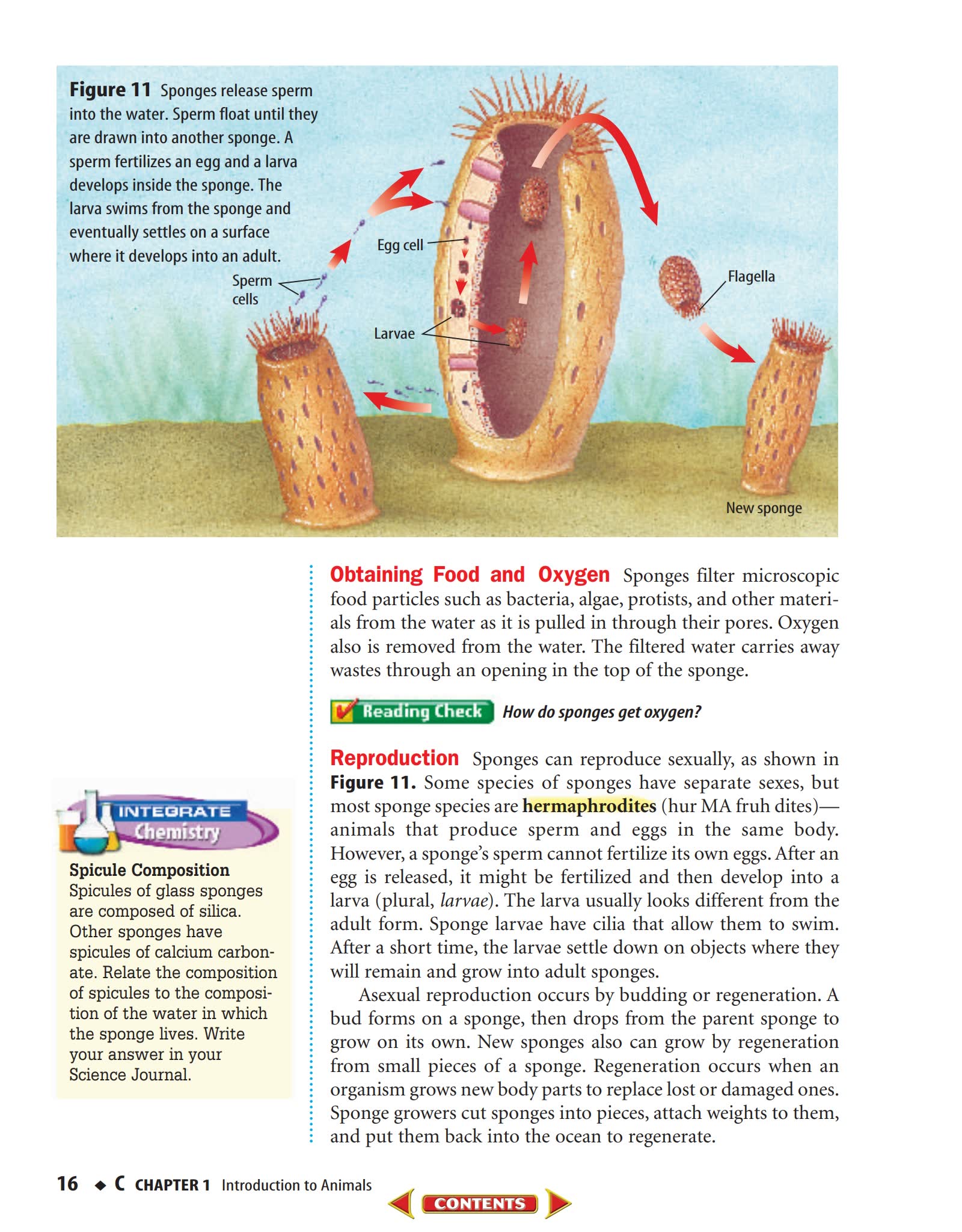 美国中学主流科学教材 Glencoe Science Modules 电子版PDF 百度云网盘下载 | 咿呀启蒙yiyaqimeng.com