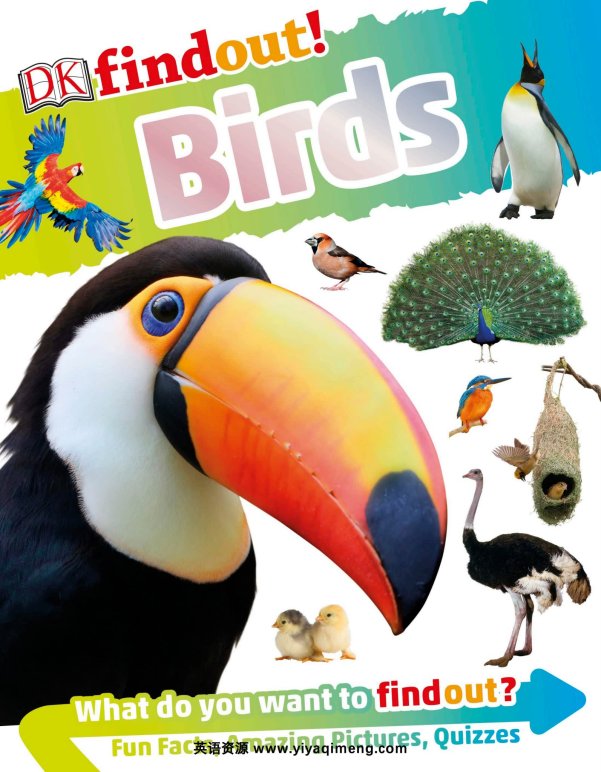 DK系列图书 电子版英文版 DK出版社电子书 全集PDF 百度云网盘下载 | 咿呀启蒙