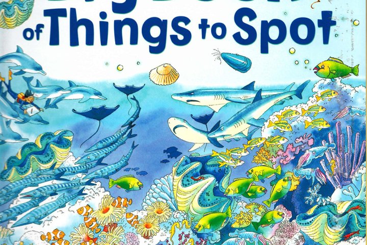 The Usborne Big Book of Things to Spot 认知启蒙趣味大发现绘本 电子版PDF 百度云网盘下载 | 咿呀 ...