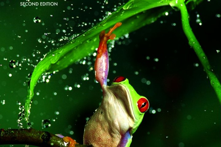 美国国家地理Our World最新第二版 教材 电子版PDF百度网盘下载 | 咿呀启蒙yiyaqimeng.com